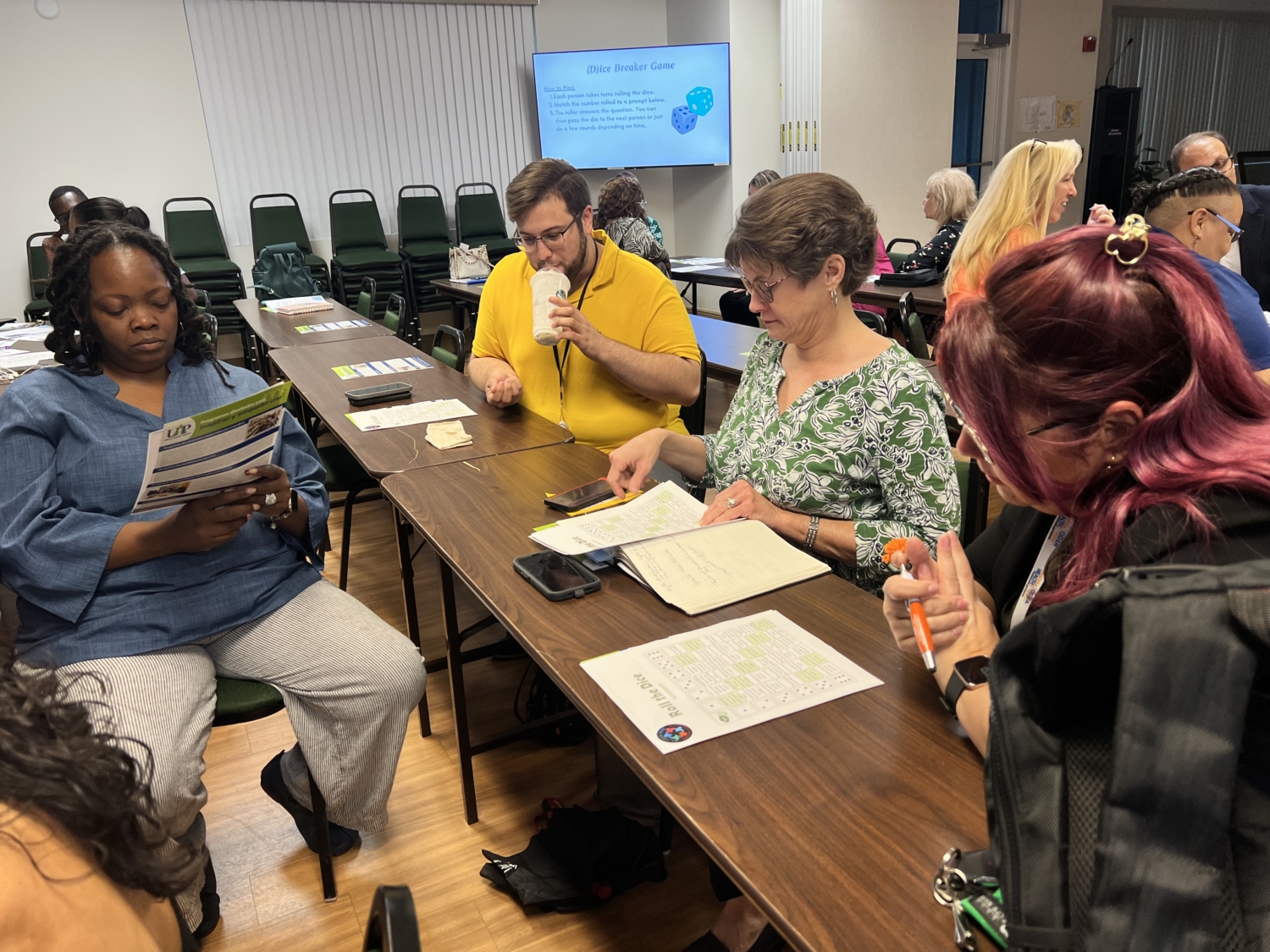 St. Lucie RISE – Mental Health Collaborative – Roundtable SLC